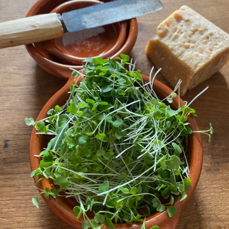 Grow Your Own! Microgreen Crash Course – MT Wild Roots